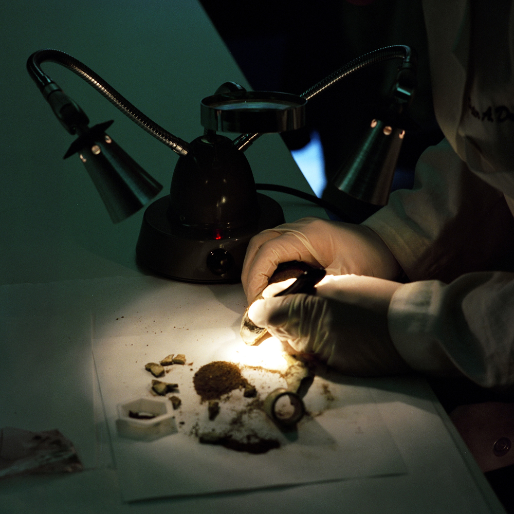 Forensic Chemists | Bureau of Alcohol, Tobacco, Firearms and Explosives