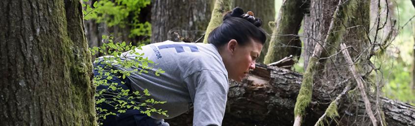 Bureau of Alcohol, Tobacco, Firearms and Explosives